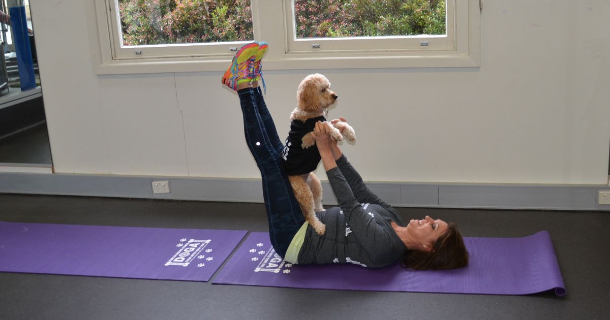Doga: Yoga for Dogs | Lyka Blog