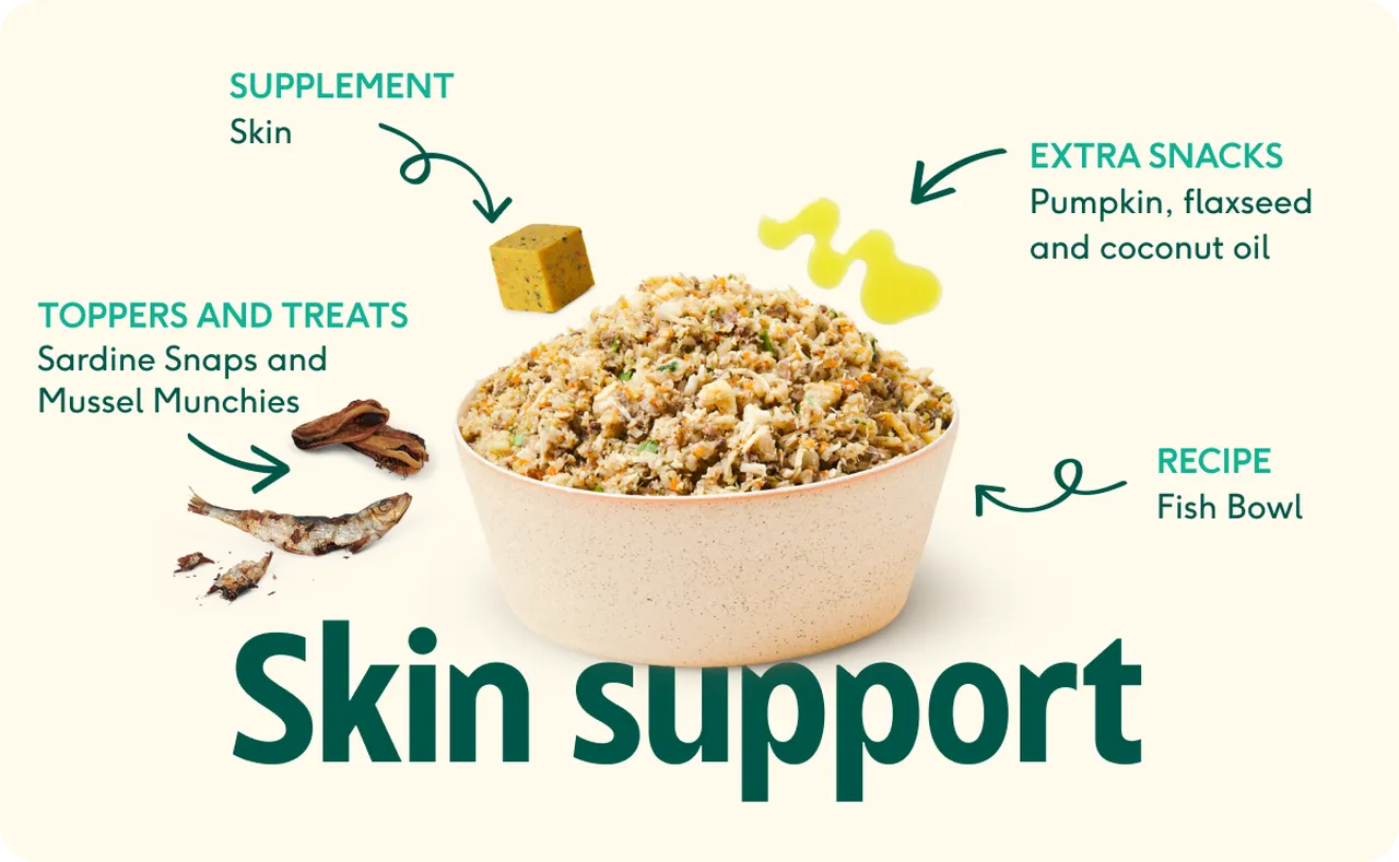 Mix and match your pup’s Lyka meal combo for tailored preventative health | Lyka Blog