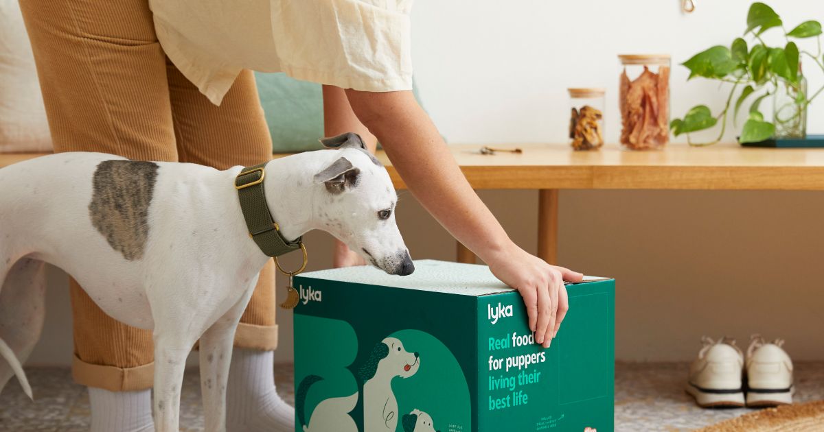 Lyka’s step-by-step trial box feeding guide | Lyka Blog