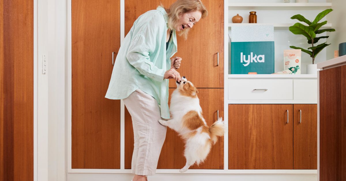 How Lyka raises the bar for dog food | Lyka Blog