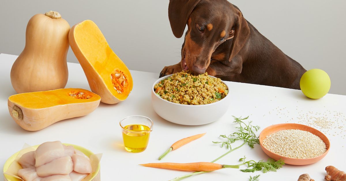 Why we add (ancient) grains to some Lyka recipes | Lyka Blog