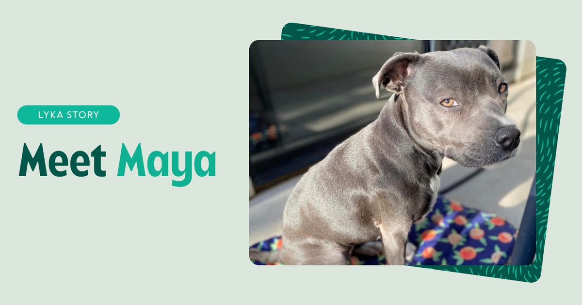 Lyka Story: How real food transformed Maya's itchy skin | Lyka Blog