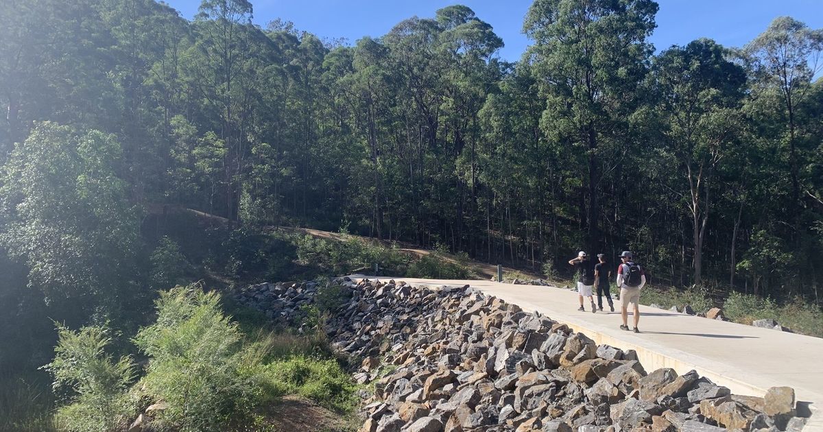 Mt Coot-tha - A dog-friendly Brisbane bush walk | Lyka Blog