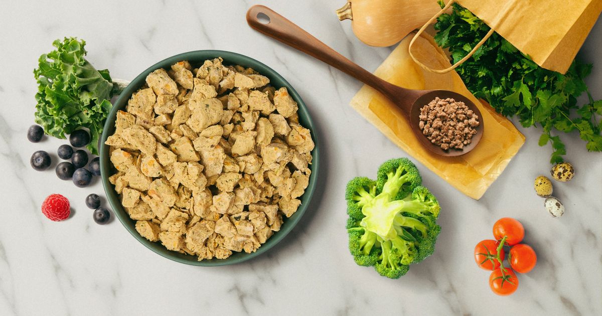Fresh vs home cooking for your dog: which is better? (vet reviewed ...
