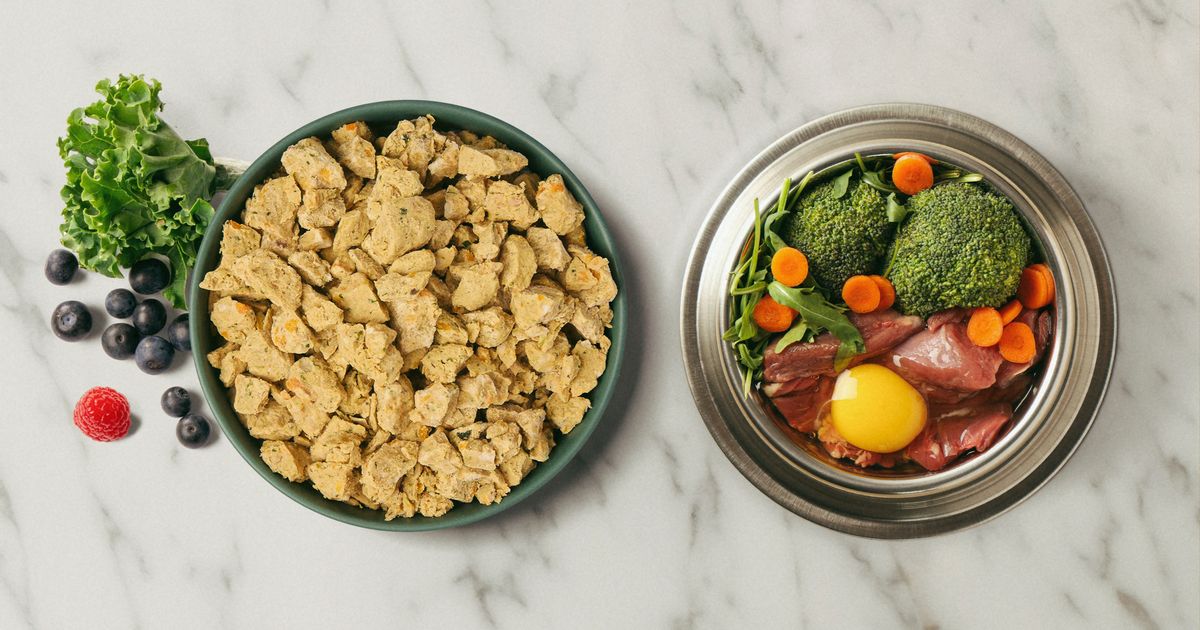 Fresh vs raw food for your dog: which is better? (vet reviewed) | Lyka Blog