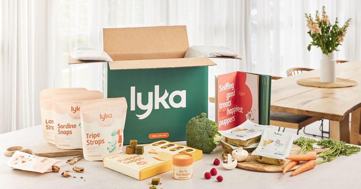 How to recycle your Lyka packaging: an all-in-one guide | Lyka Blog