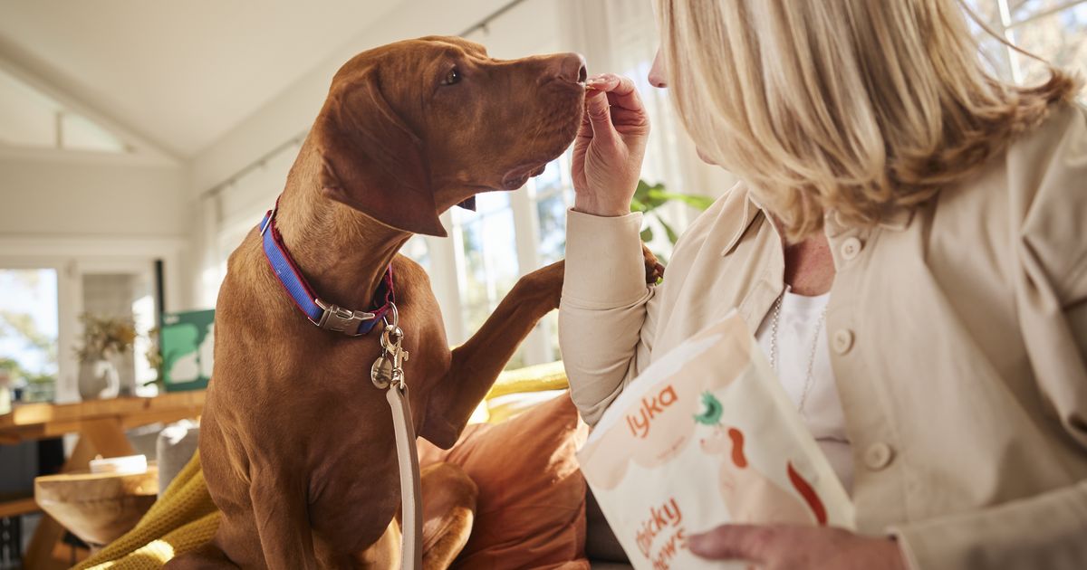 Treats dos and don’ts: tips for reading treat labels | Lyka Blog