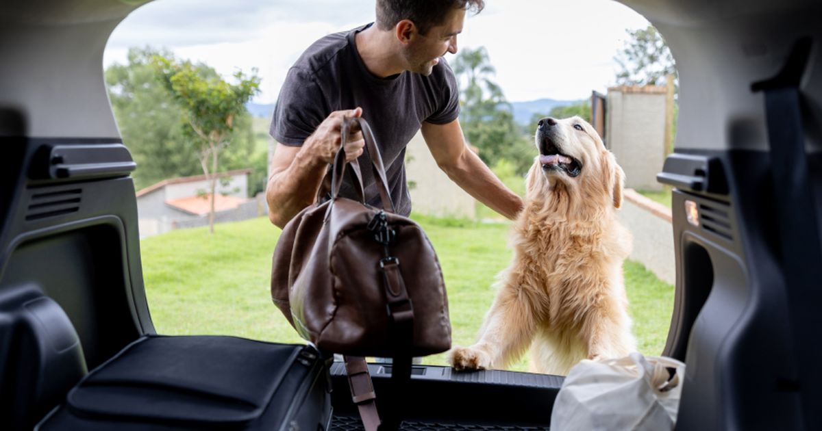 Lyka’s ultimate dog sitting guide (with downloadable resource) | Lyka Blog